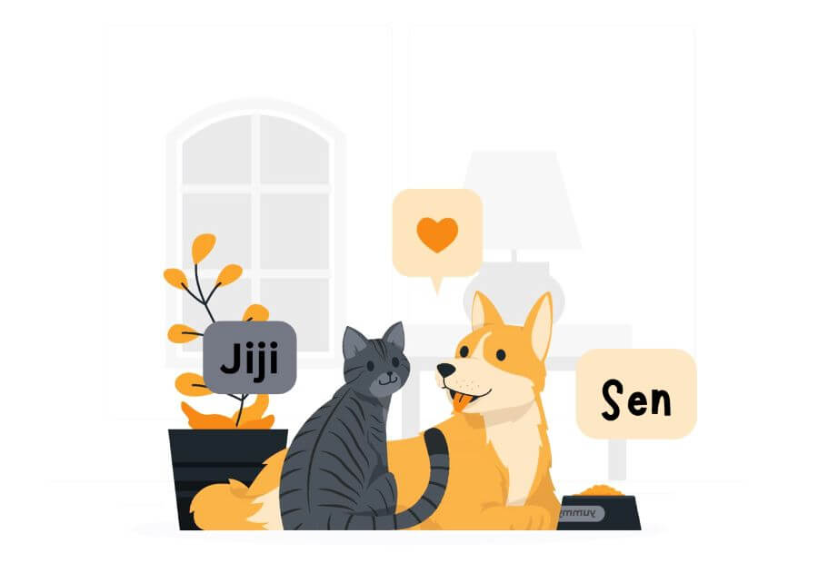 Studio Ghibli Names For Pets PetsTime Studio Ghibli Names For Pets PetsTime