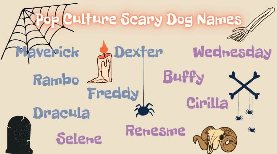 Scary Dog Names For Your New Pup PetsTime