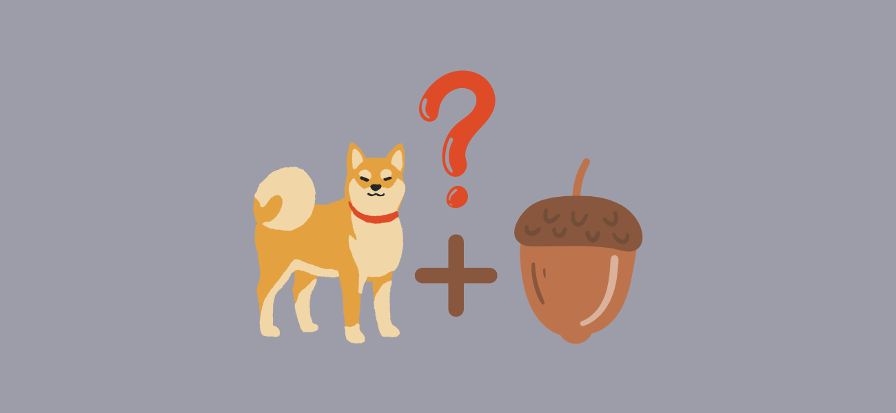 Can Dogs Eat Acorns? Are They Poisonous to Dogs? - PetsTime