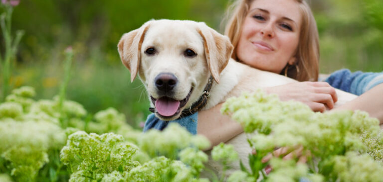 Do Dogs Love Their Owners? All About Dogs' Love - PetsTime