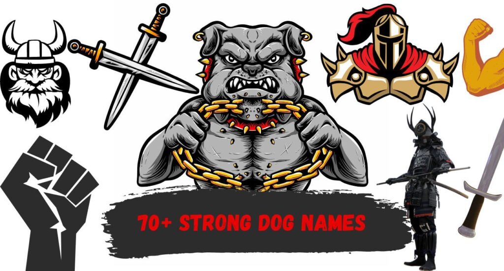 Strong Dog Names: Fierce Name Ideas for a Guard Dog - PetsTime
