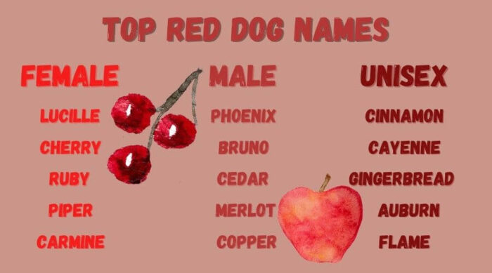 Red Dog Names for a Fiery Pup - PetsTime