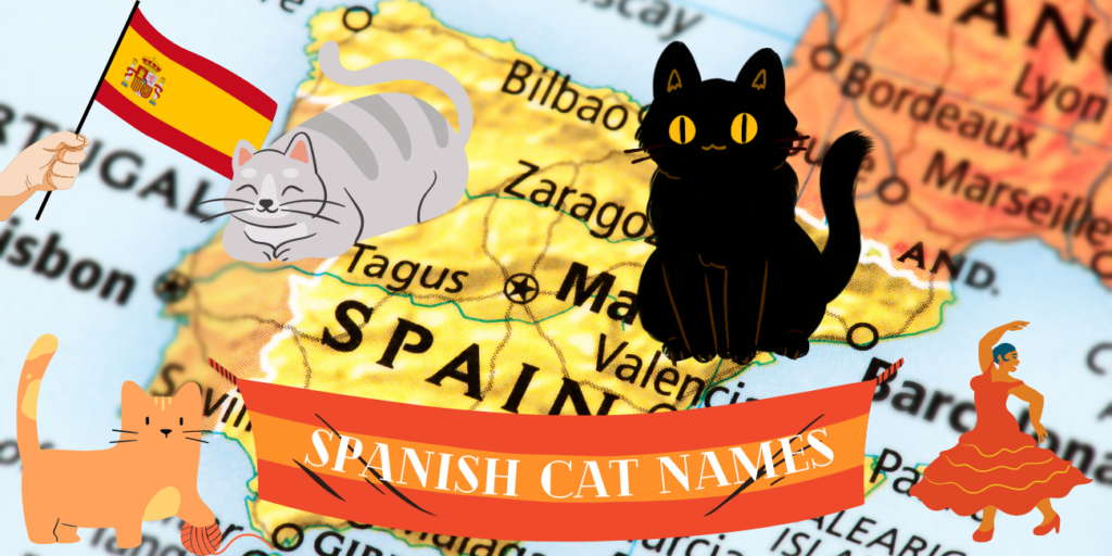 Spanish Cat Names and Meanings for Males & Females - PetsTime