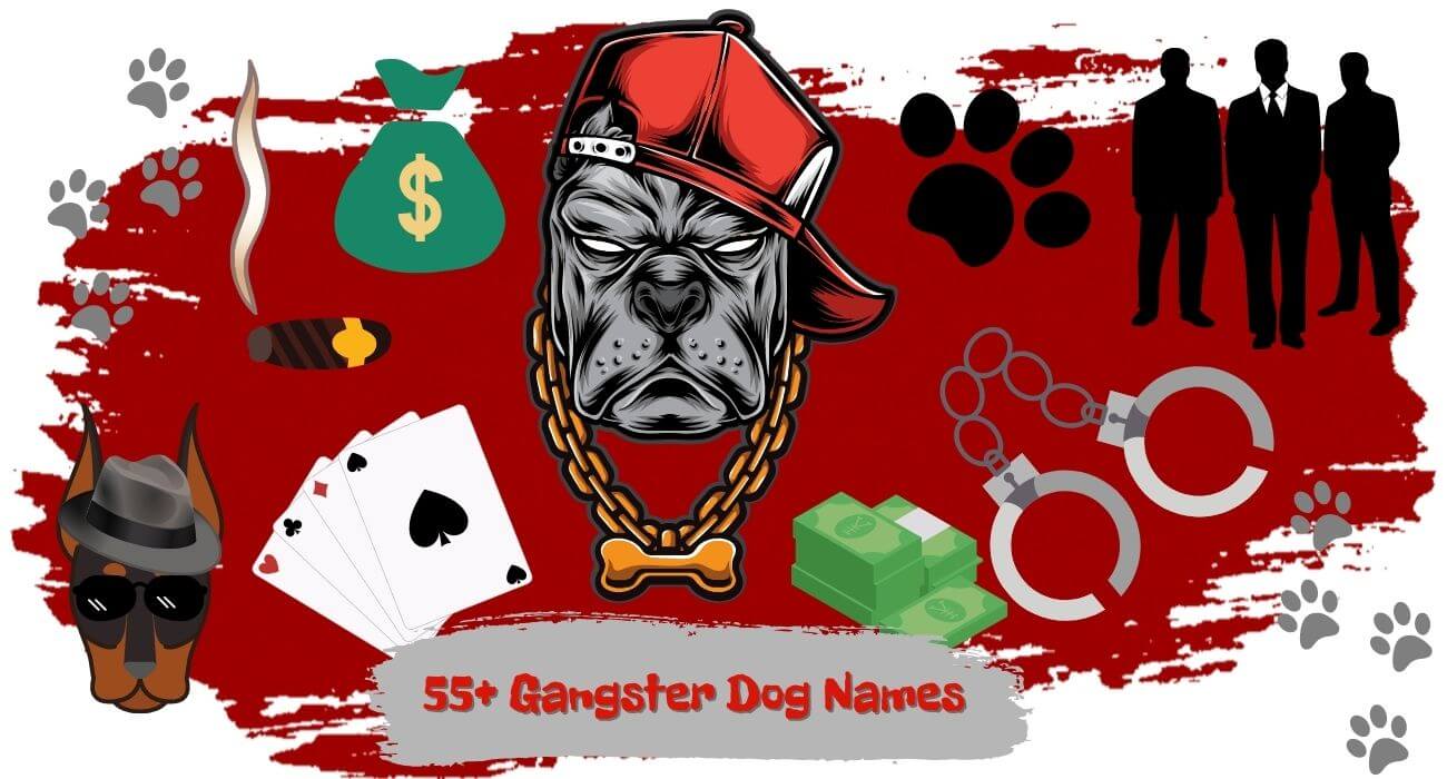 Gangster Dog Names For Your Tough Pooch PetsTime