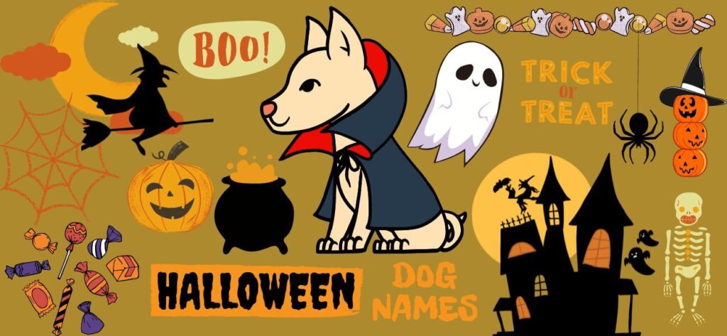 Halloween Dog Names: Spooky and Funny Ideas for Naming Your Pup – PetsTime