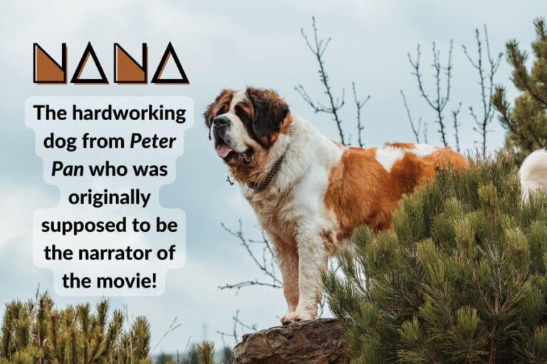 Dog Names From Movies And TV PetsTime dog-names-from-movies-and-tv-petstime
