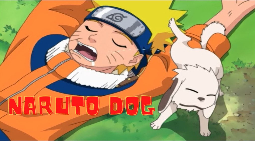 Naruto Dog | Akamaru of the Inuzuka Clan and More