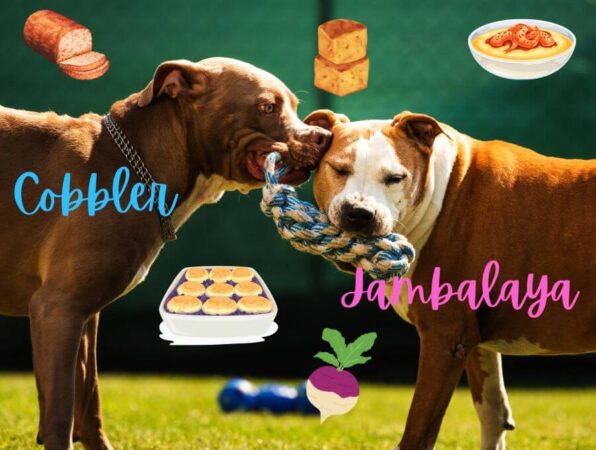 Southern Dog Names – 120+ Country Name Ideas