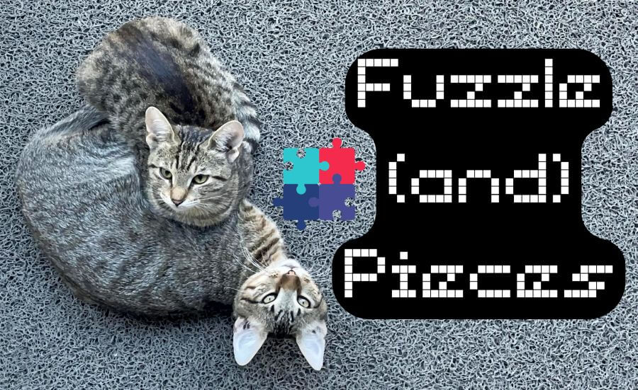 Cat Pun Names 70 Punny Names For Your Kitty PetsTime Cat Pun Names 70 Punny Names For Your Kitty PetsTime