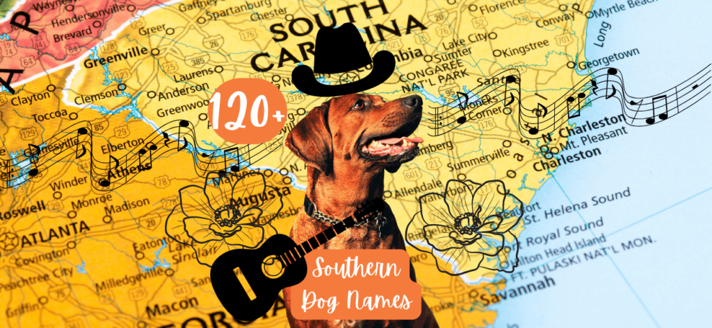 Southern Dog Names – 120+ Country Name Ideas