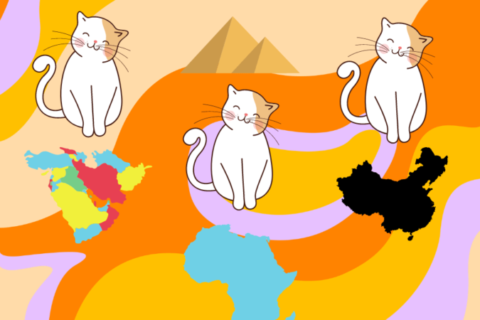 Where Do Cats Come From The Origin Of Domestic Cats